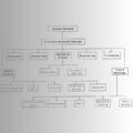 Hotel Department, Their Functions, & Common Positions