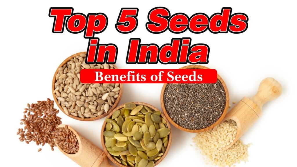 Top 5 Seeds in India | Benefits of Seeds | NFCI Hospitality